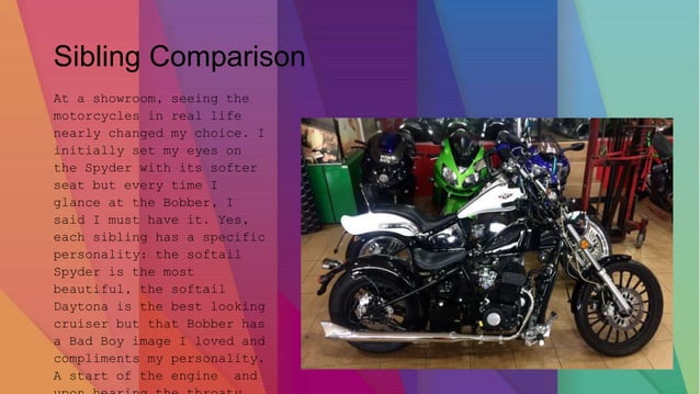 The Making of the Iron Zebra | PPT