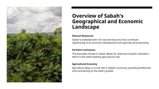 The Malaysian Oil Palm Industry in Sabah.pptx