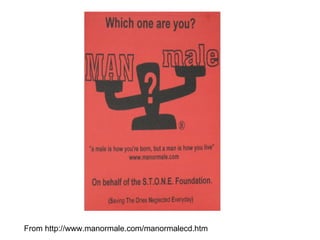 The Male Crisis | PPT