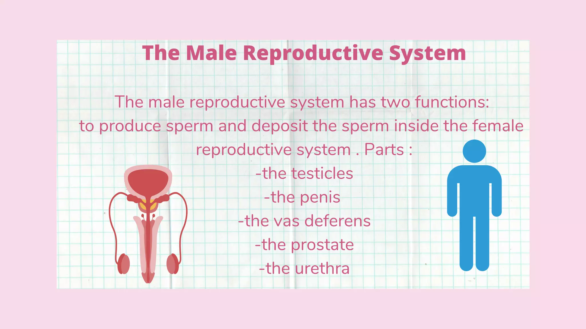 Human reproduction.pdf