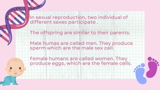 Human reproduction.pdf