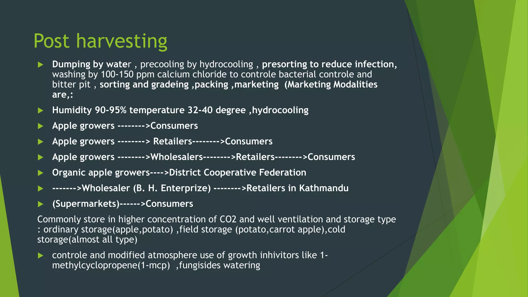 APPLE(malus pumila) temperate fruits | PPTX