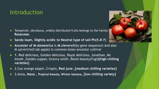 APPLE(malus pumila) temperate fruits | PPTX