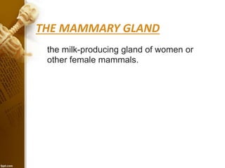 BREAST (The mammary gland) | PPTX