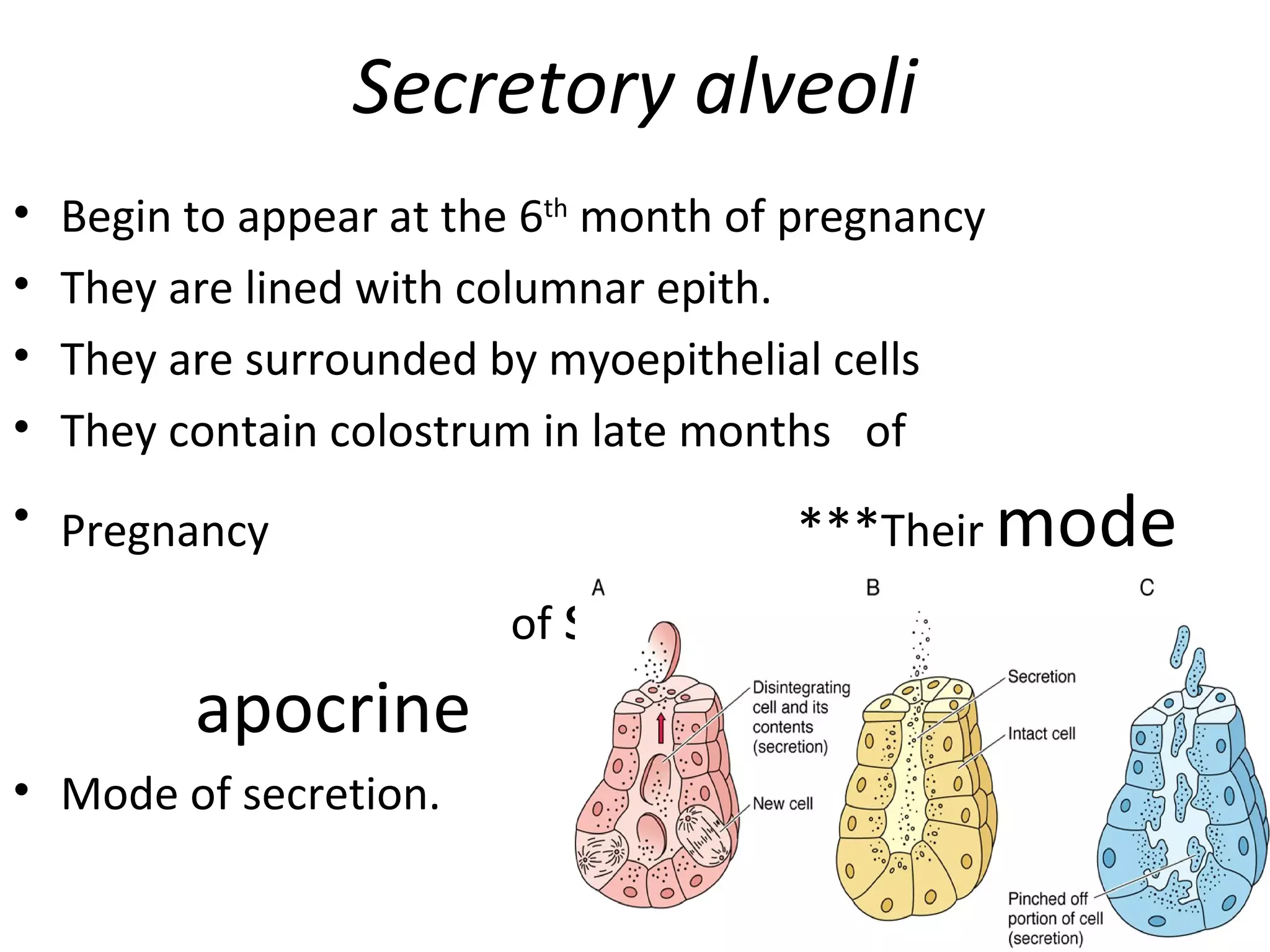 Histology of the breast | PPT