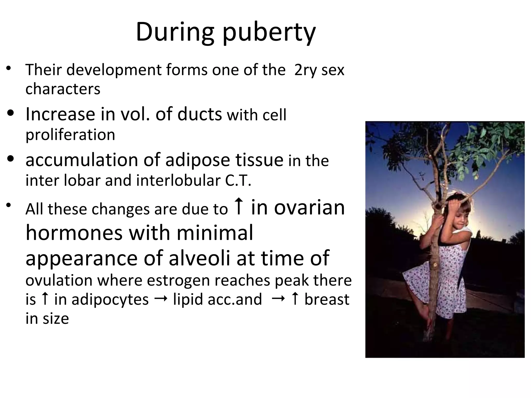 Histology of the breast | PPT