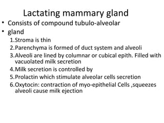 Histology of the breast | PPT | Pregnancy | Reproductive Health