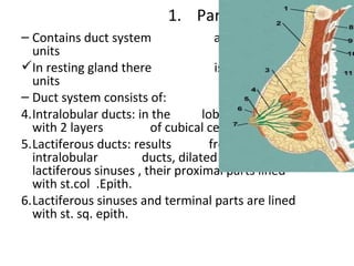 Histology of the breast | PPT