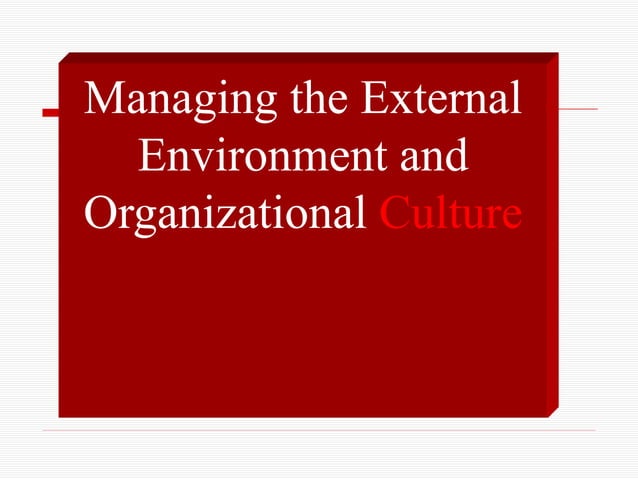 The Management Environment and their aspectsppt.ppt