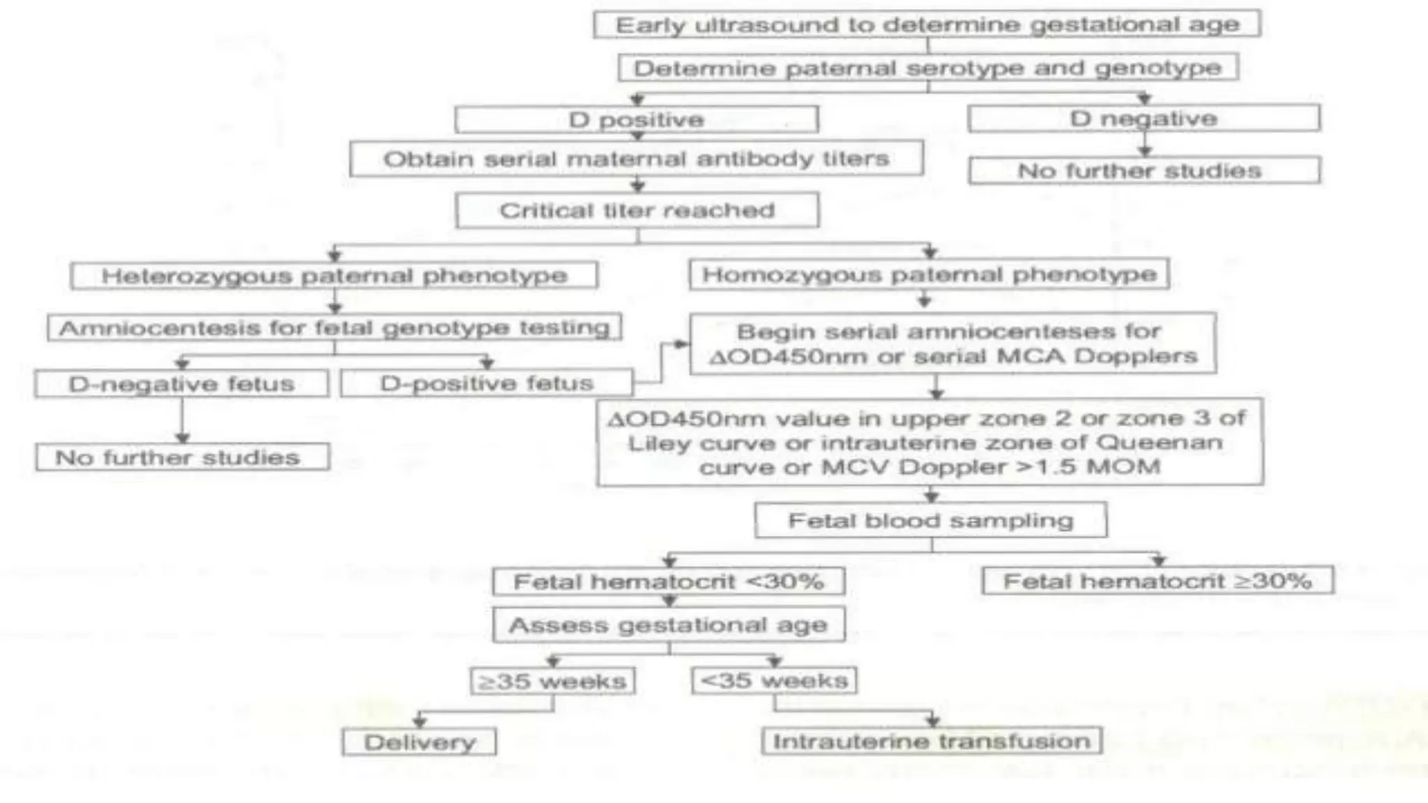 THE MANAGEMENT OF RH NEGATIVE PREGNANCY.pptx