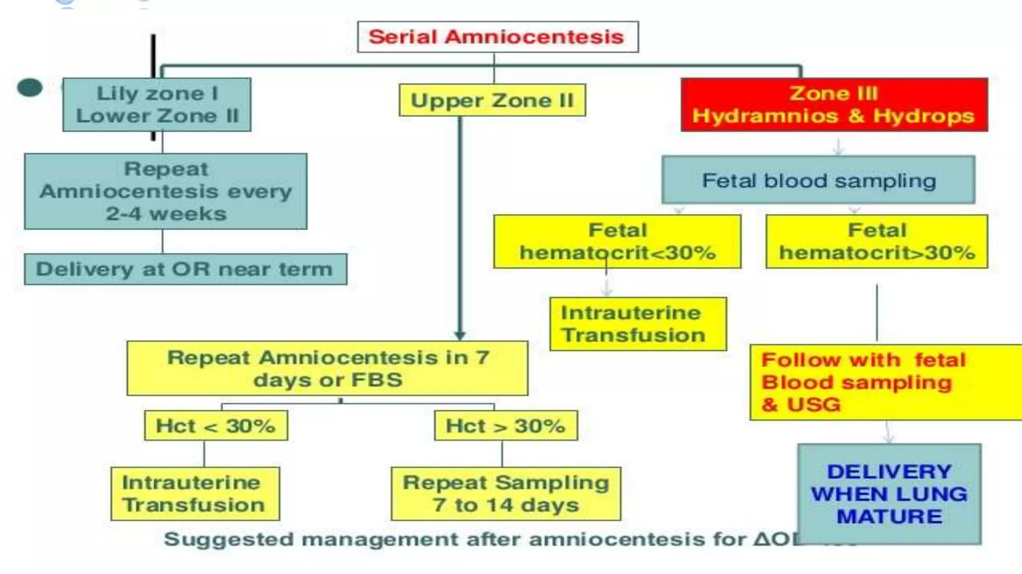 THE MANAGEMENT OF RH NEGATIVE PREGNANCY.pptx