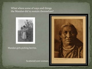 The Mandan or mi ah'-ta-nees | PPT