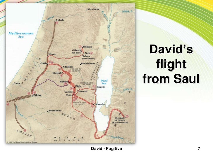 The man david – the fugitive