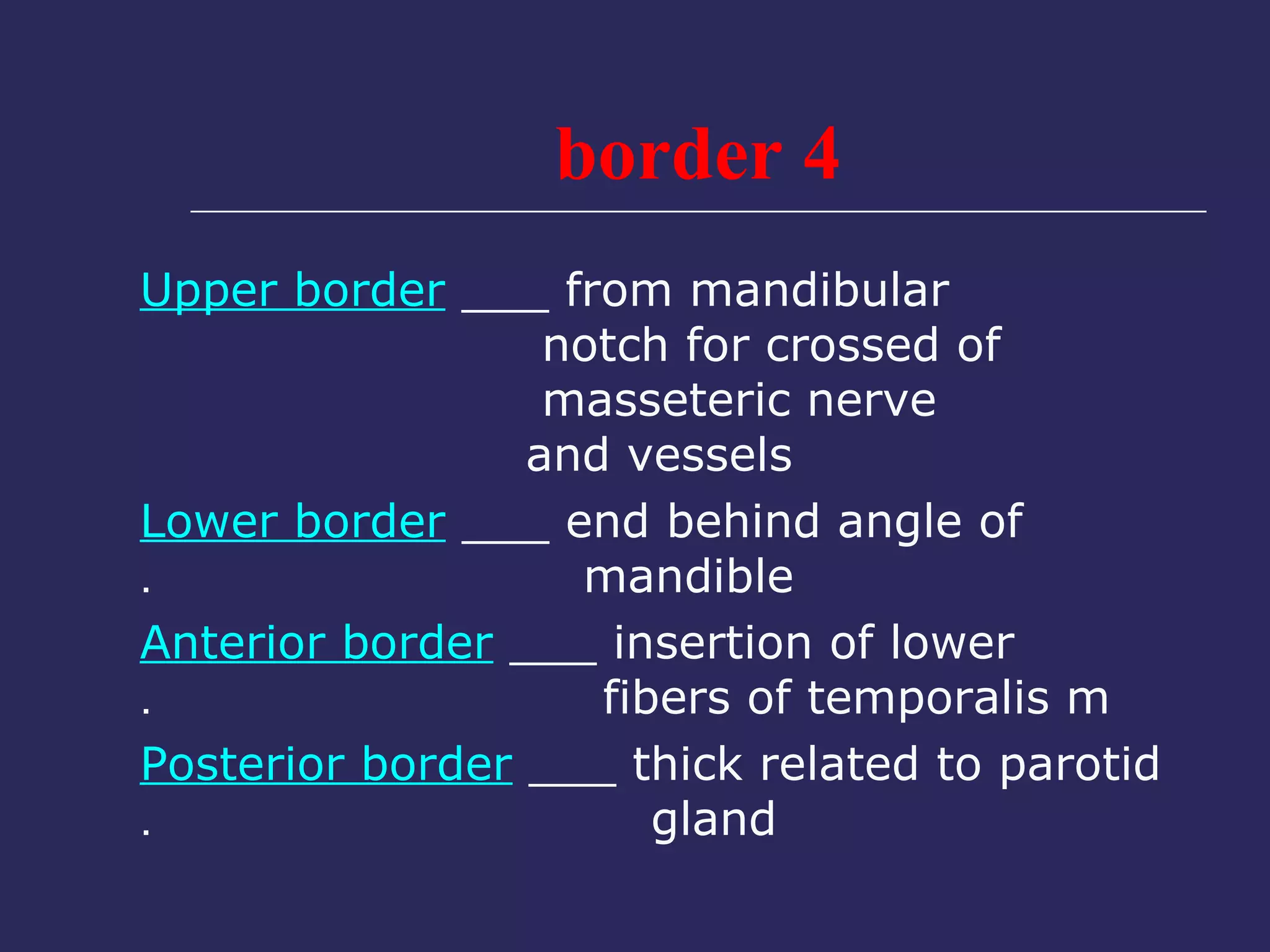 Anatomy of The mandible | PPT