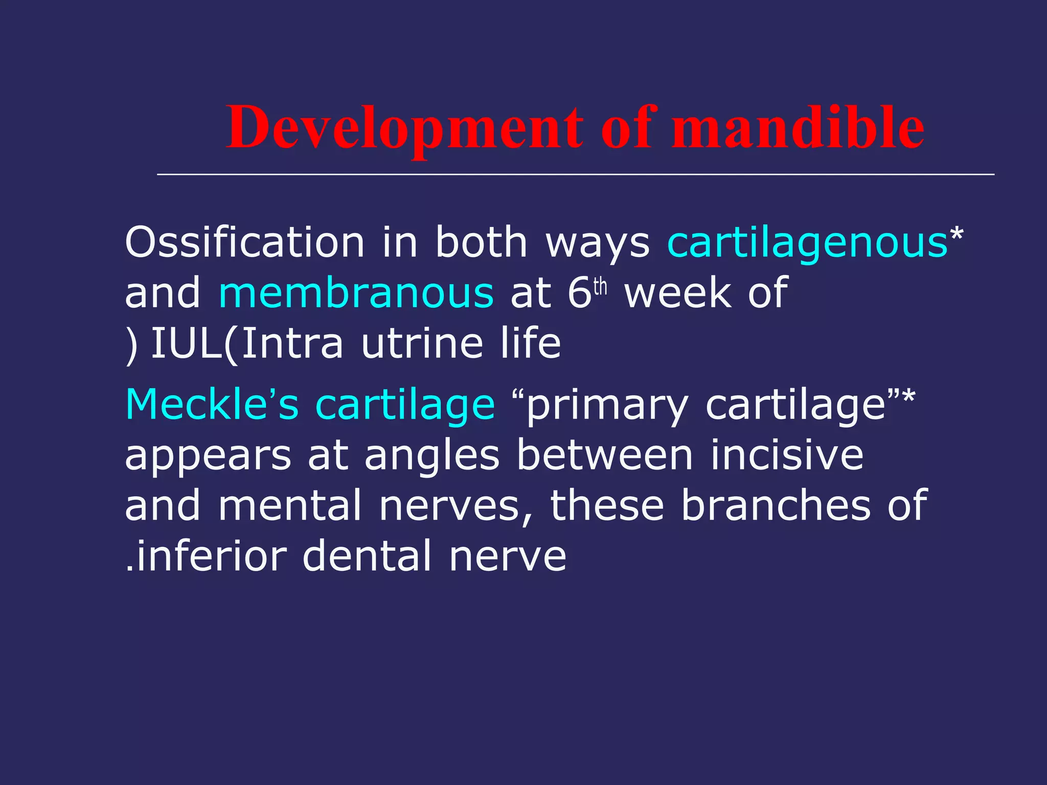 Anatomy of The mandible | PPT