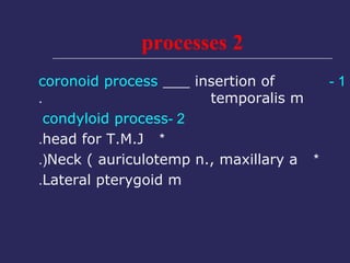 Anatomy of The mandible | PPT
