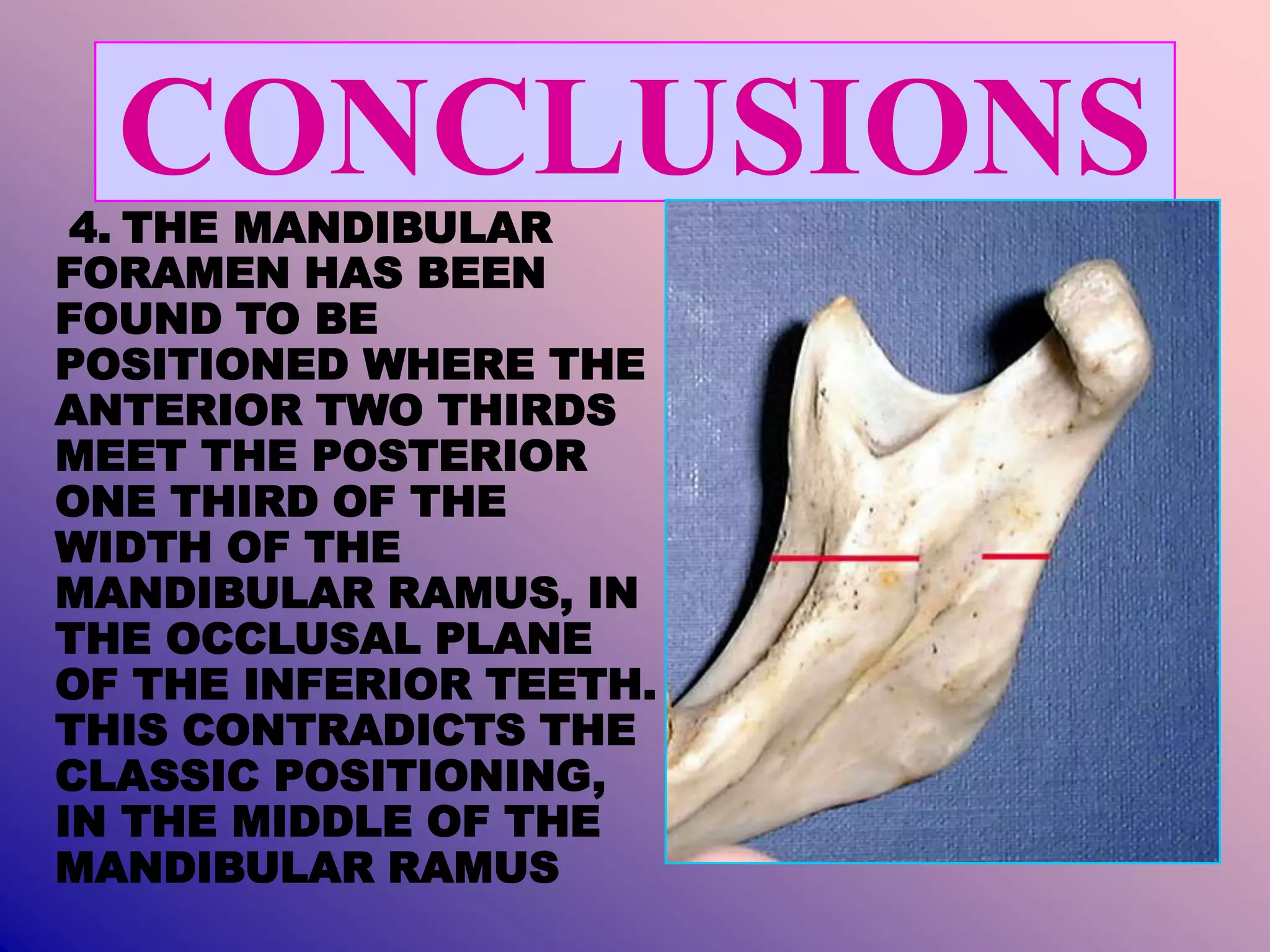 The mandibular foramen - role of its position in block anaesthesia .ppt ...
