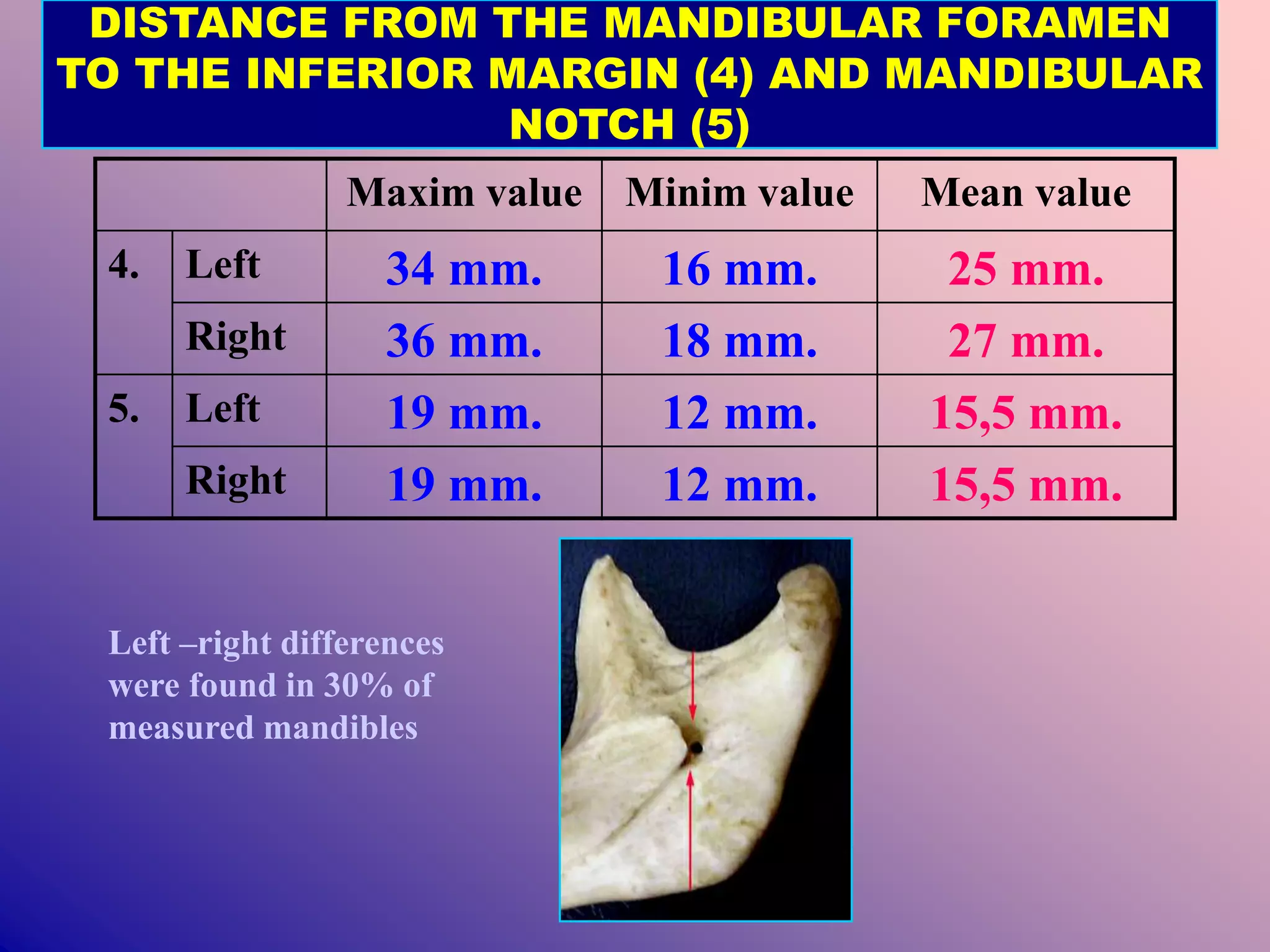 The mandibular foramen - role of its position in block anaesthesia .ppt