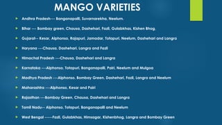 The Mango andddddddddddddddddddddddddddddddddd.pptx