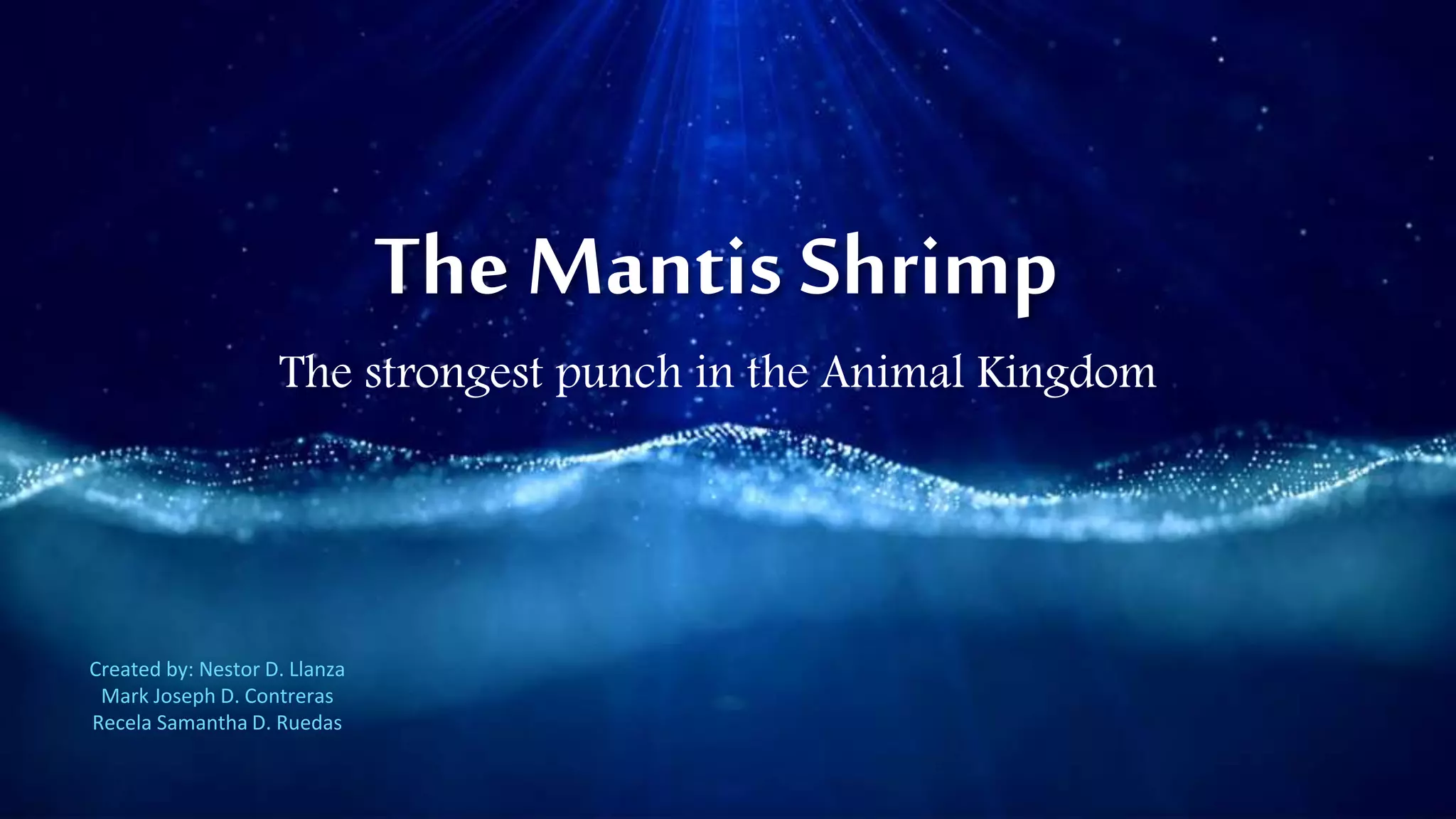 The Mantis shrimp - The strongest punch in the Animal Kingdom | PPTX