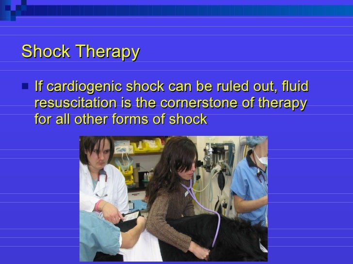 The Many Faces Of Shock