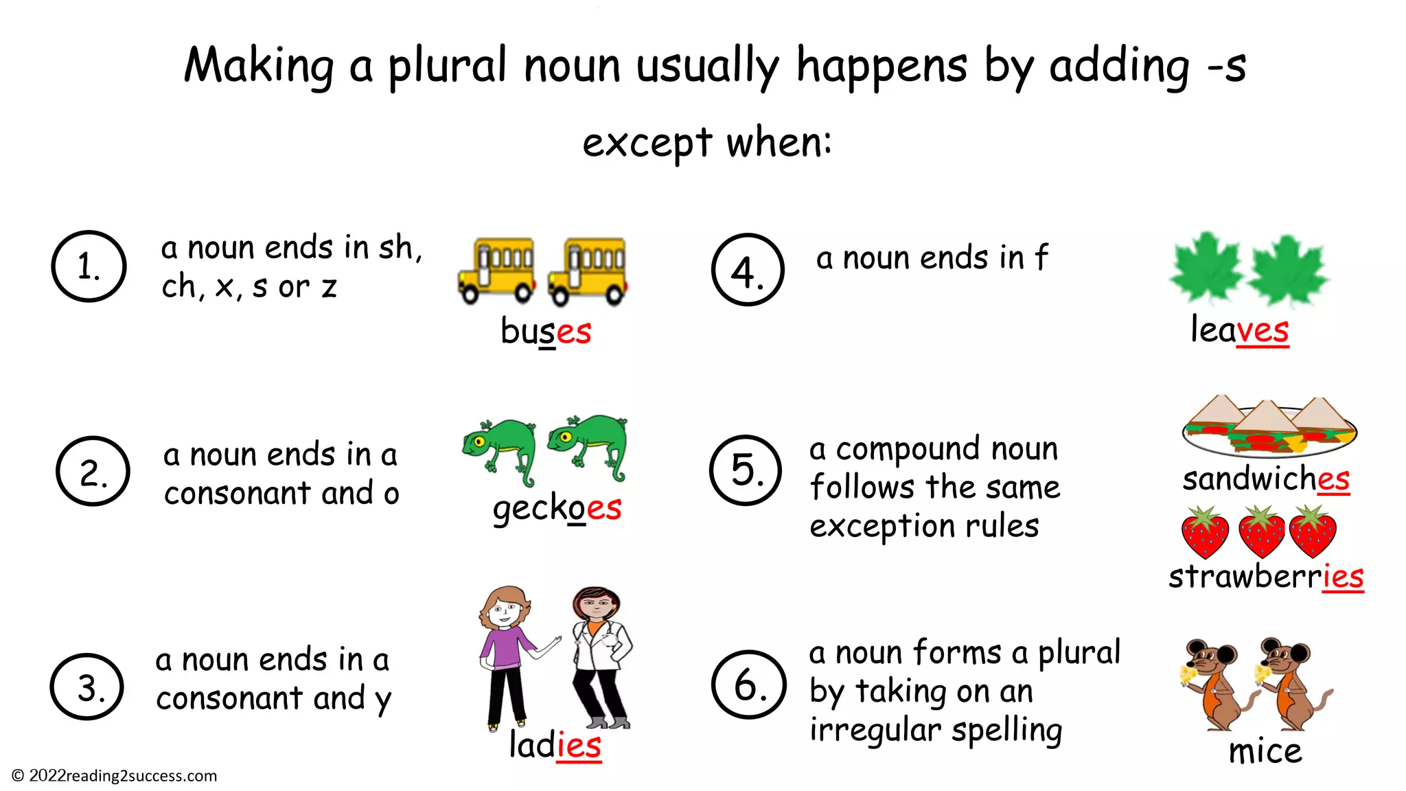 Teaching Kids the Rules for Making Plural Nouns - that aren't made by ...