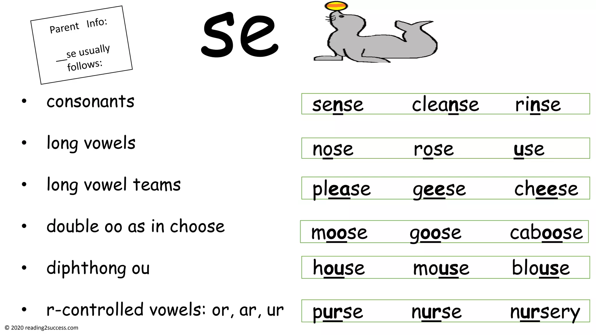 The many sounds of s : s, ss, se, ce, ci, cy | PDF