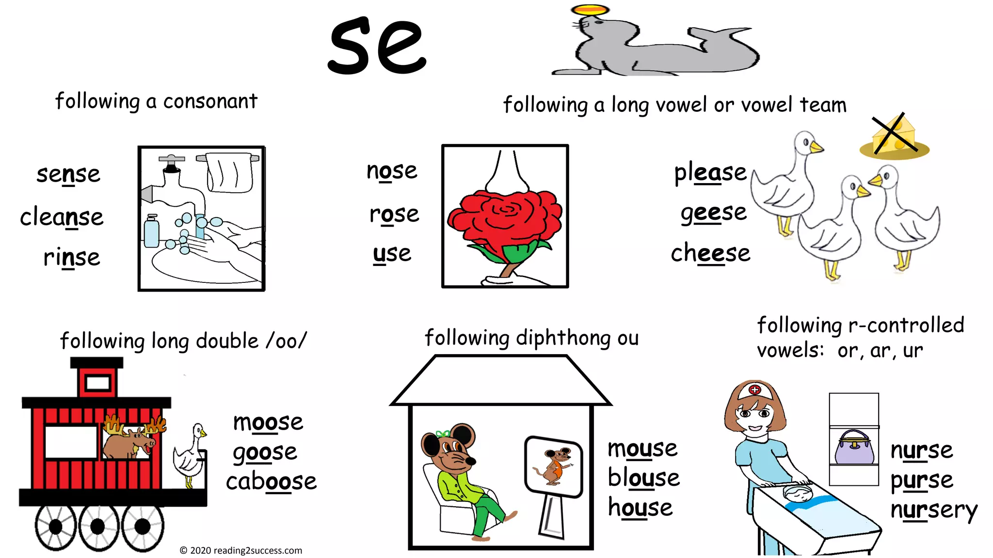 The many sounds of s : s, ss, se, ce, ci, cy | PDF