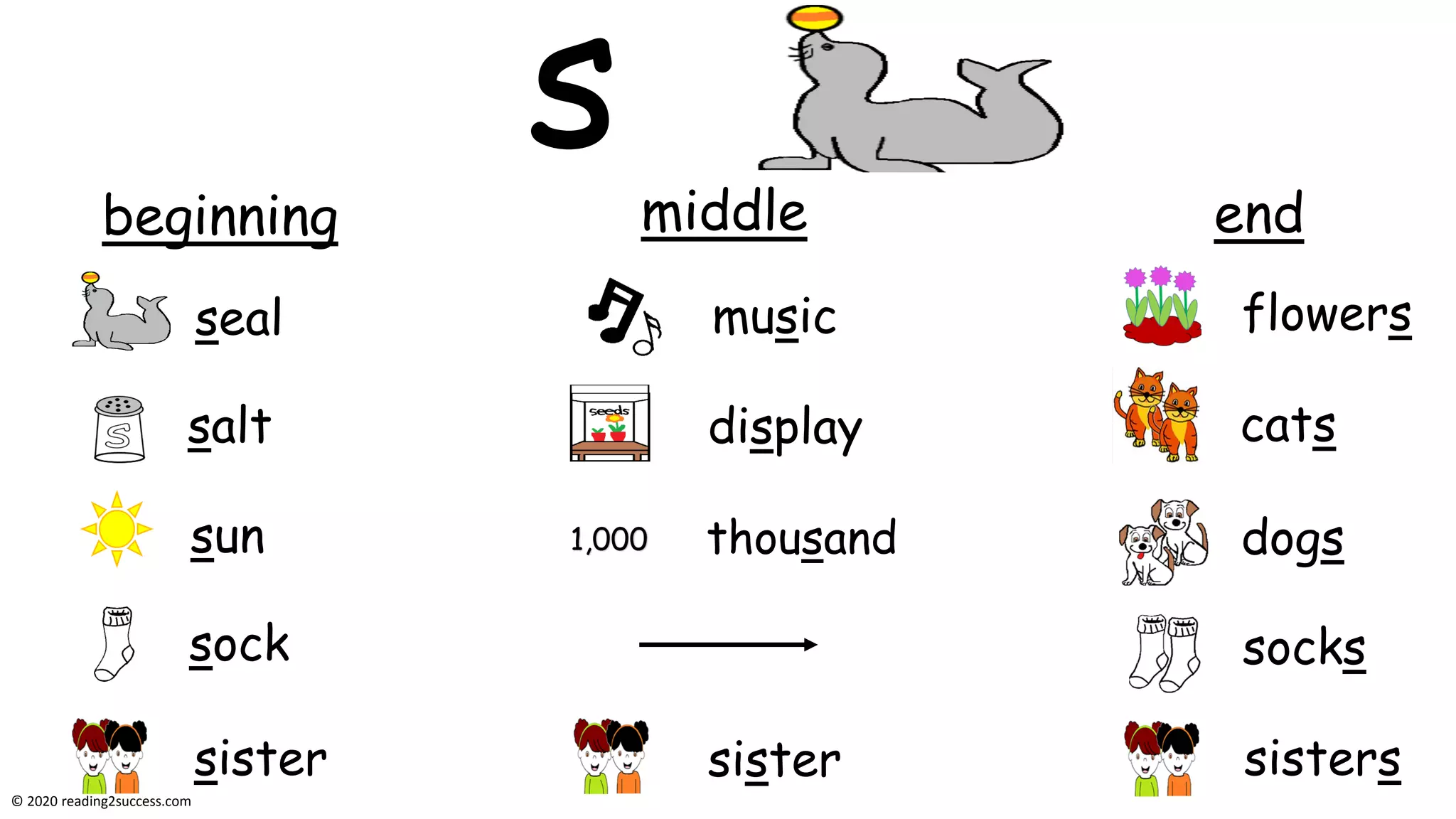 The many sounds of s : s, ss, se, ce, ci, cy | PDF