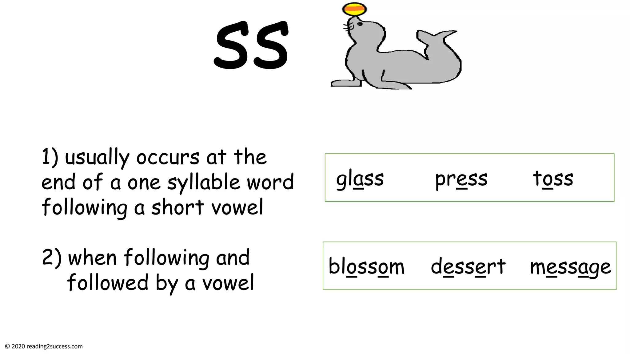 The many sounds of s : s, ss, se, ce, ci, cy | PDF