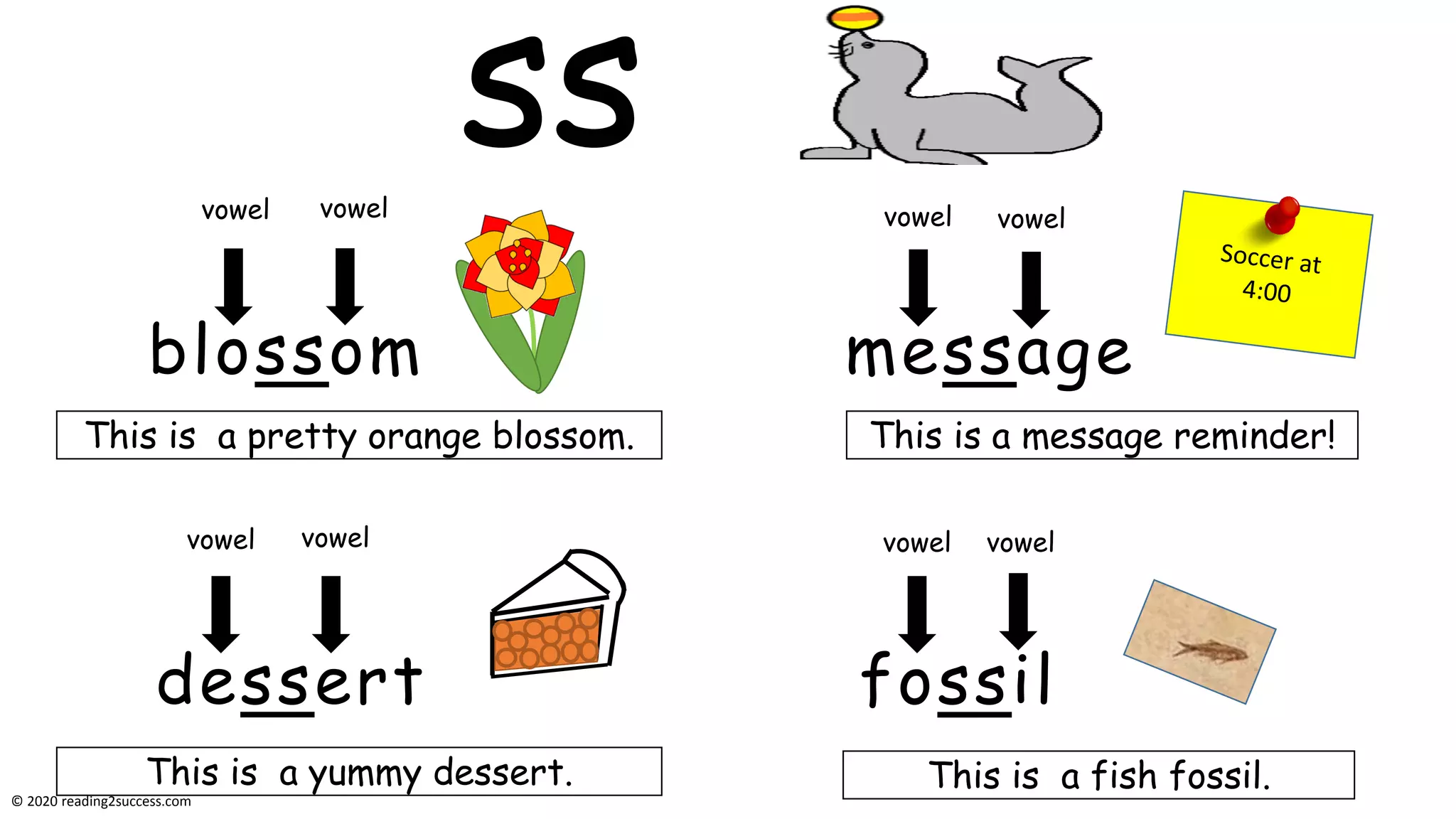 The many sounds of s : s, ss, se, ce, ci, cy | PDF