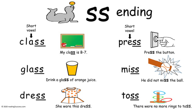 The many sounds of s : s, ss, se, ce, ci, cy | PDF
