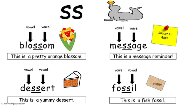 The many sounds of s : s, ss, se, ce, ci, cy | PDF