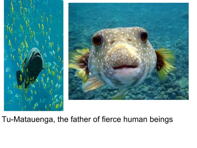 The maori_creation_story_ | PPT