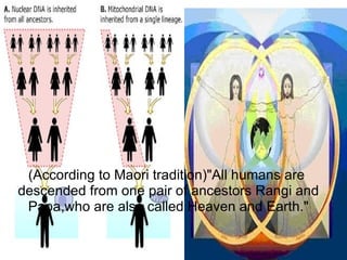 The maori creation_story | PPT