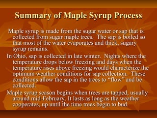 The Maple Syrup Process at Johnson Sugar Camp | PPT