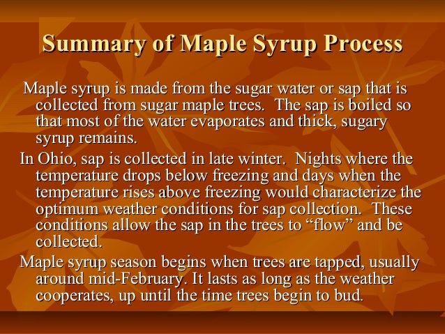 The Maple Syrup Process at Johnson Sugar Camp