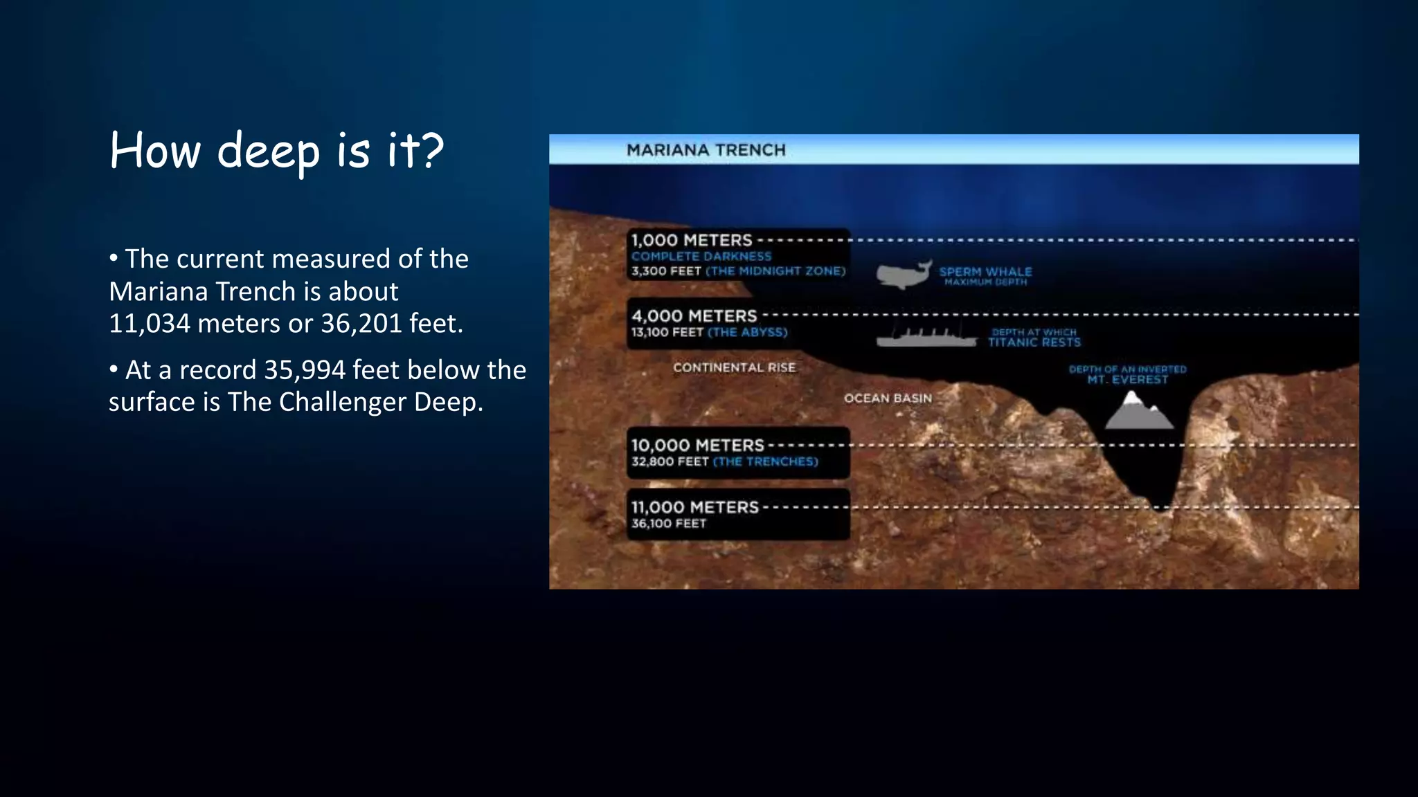 The mariana trench | PPTX