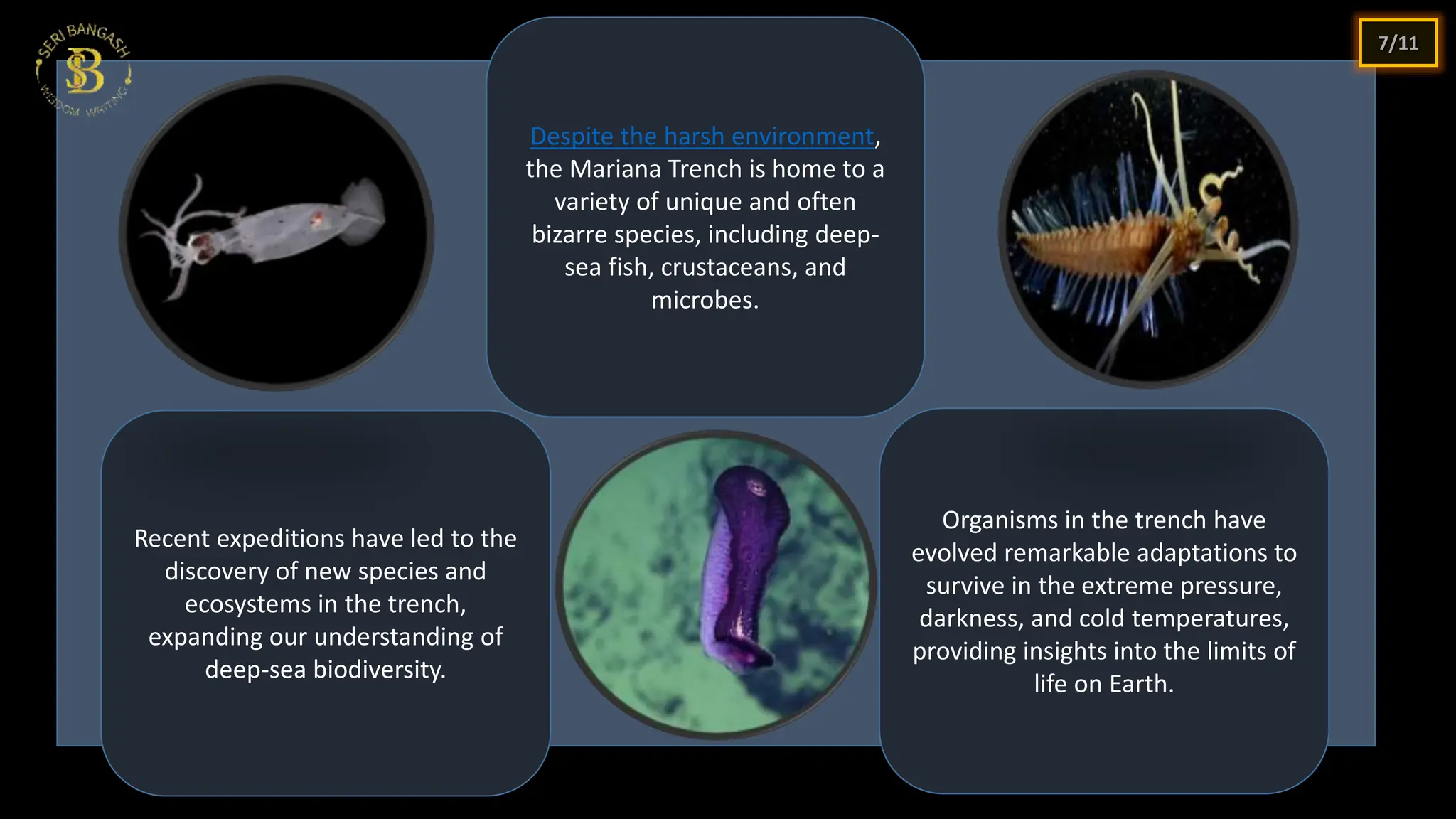 The Mariana Trench remarkable geological features on Earth.pptx