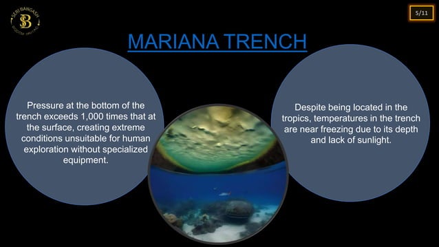 The Mariana Trench remarkable geological features on Earth.pptx