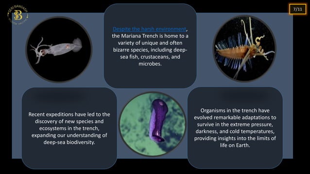 The Mariana Trench remarkable geological features on Earth.pptx