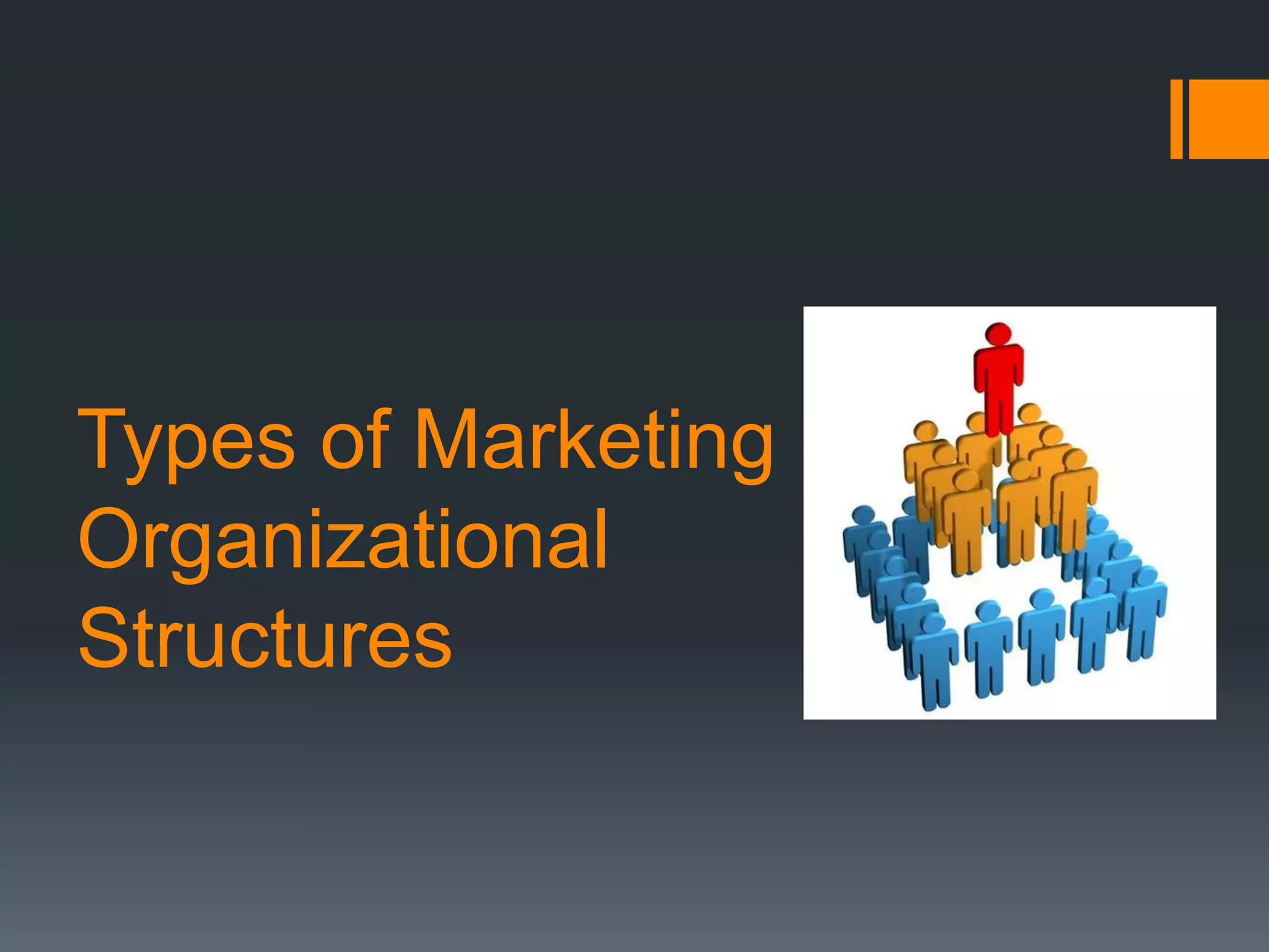 The marketing organization | PPTX