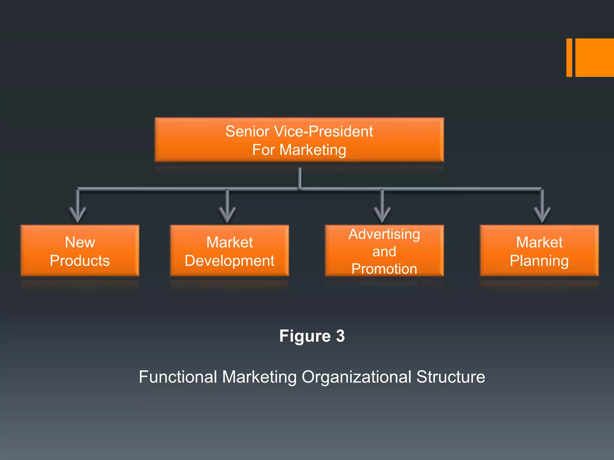 The marketing organization | PPTX