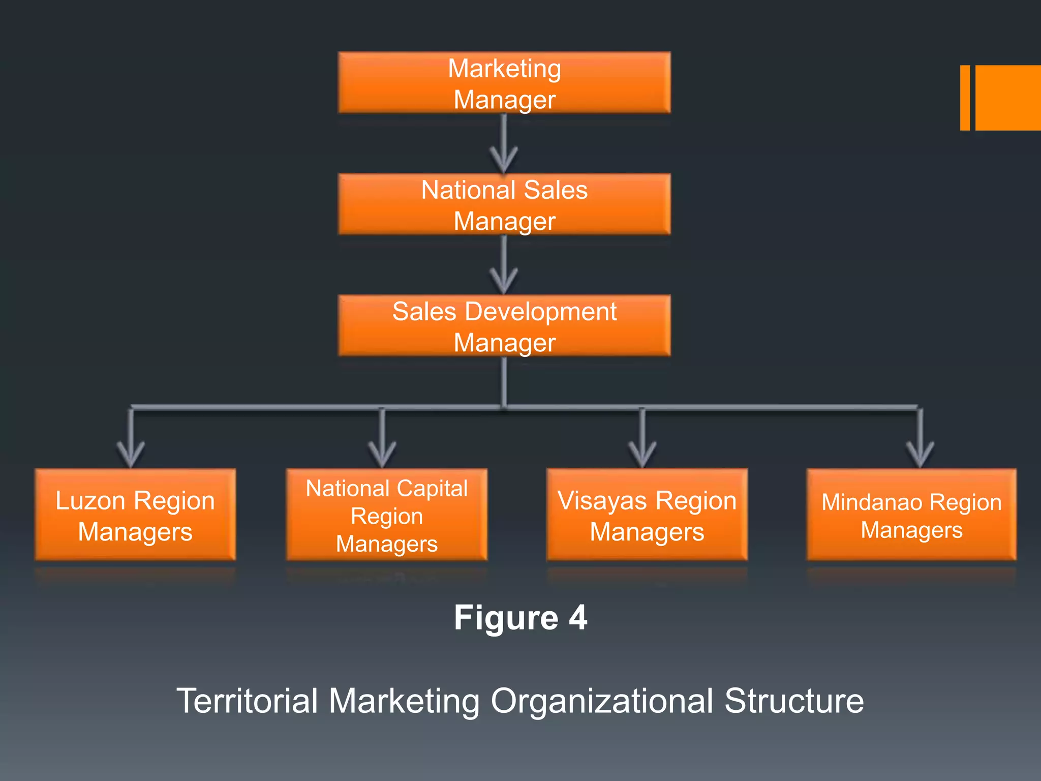 The marketing organization | PPTX