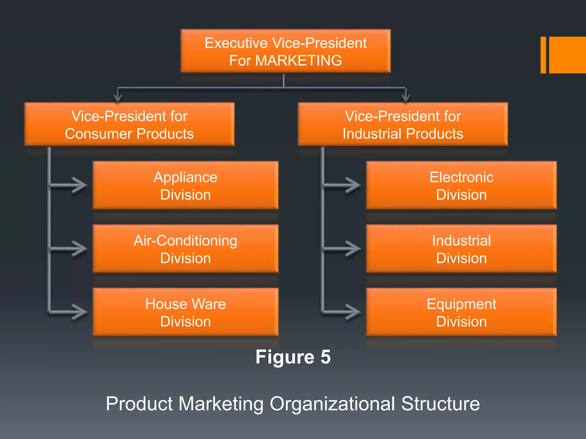 The marketing organization | PPTX