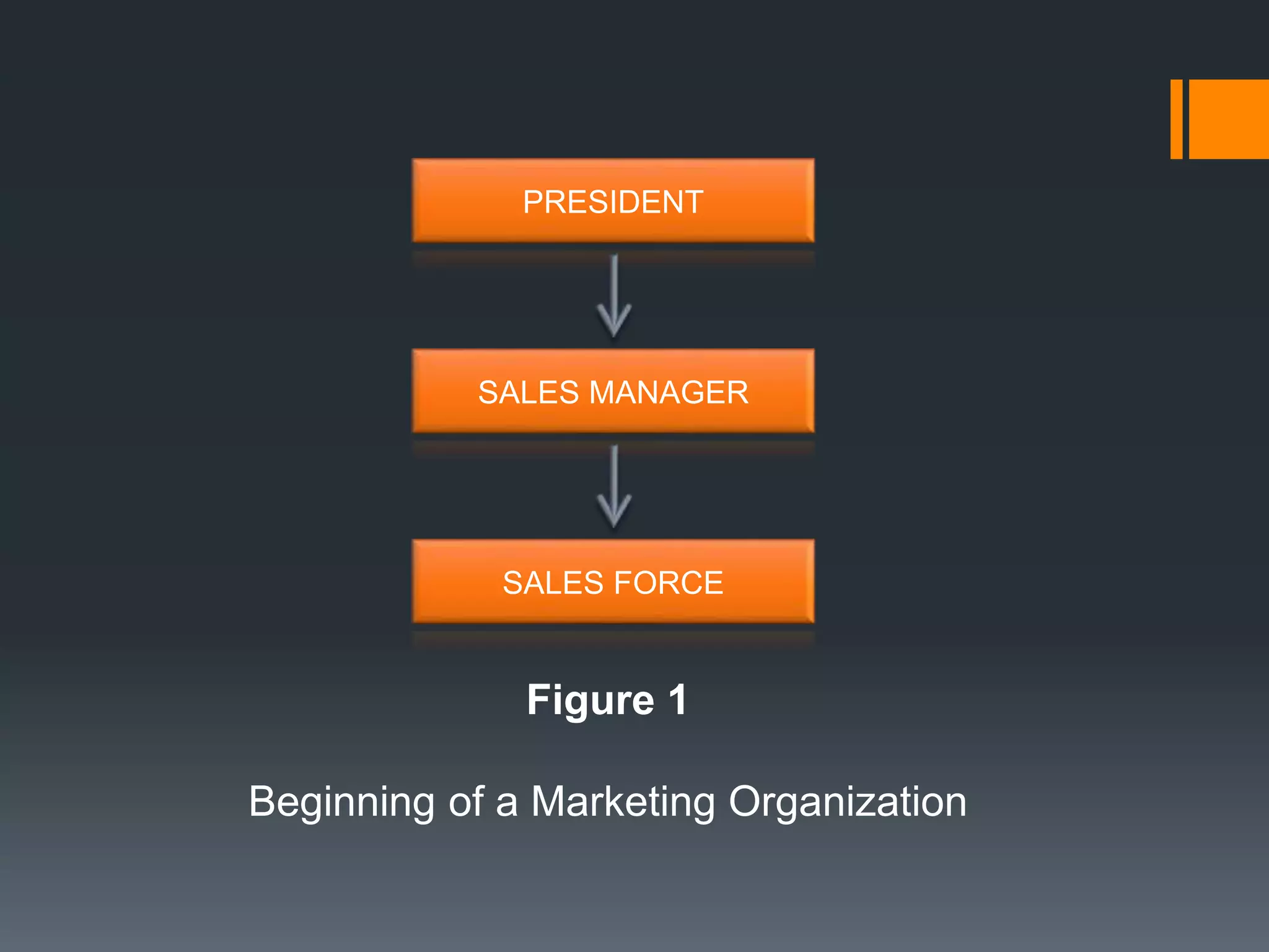 The marketing organization | PPTX