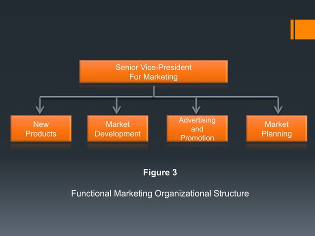 The marketing organization | PPTX | Business Administration | Business