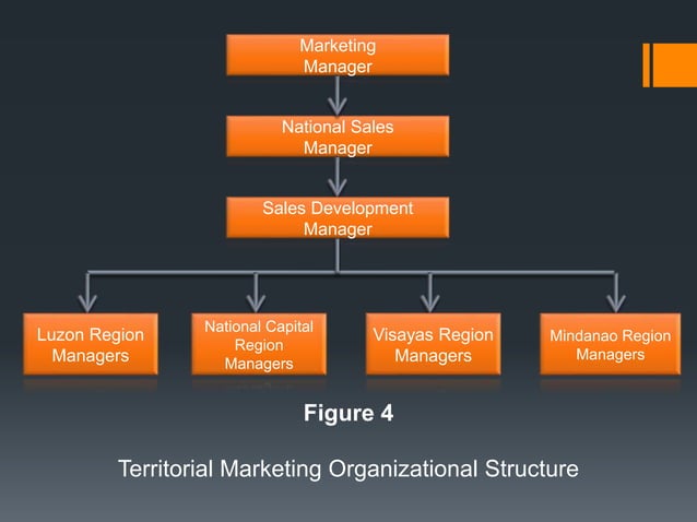The marketing organization | PPTX | Business Administration | Business