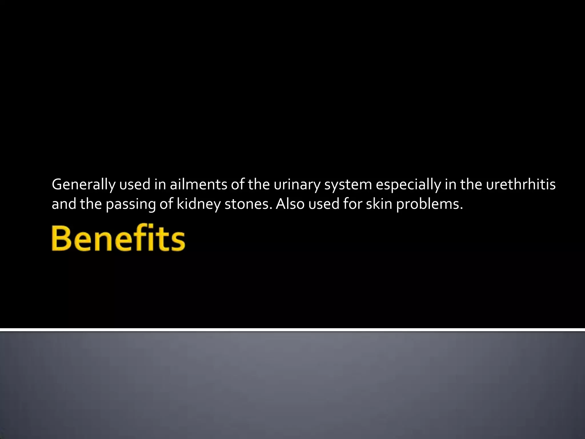 The marsh mallow | PPTX