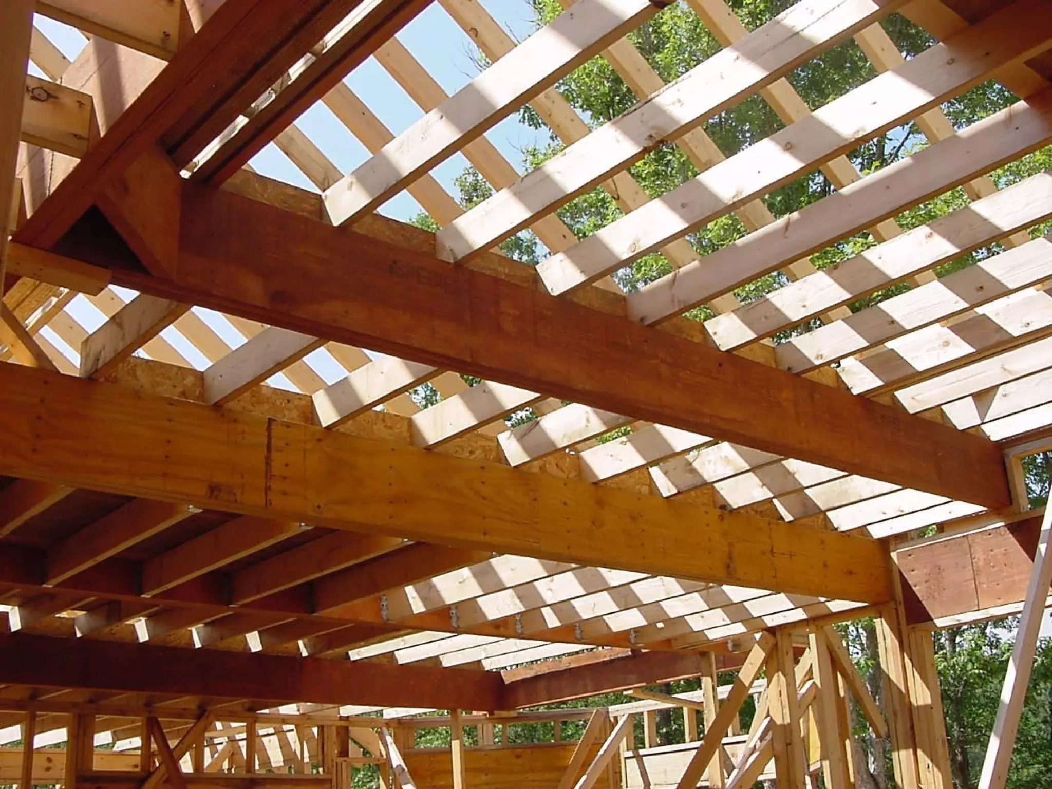 The Material Wood | PPT